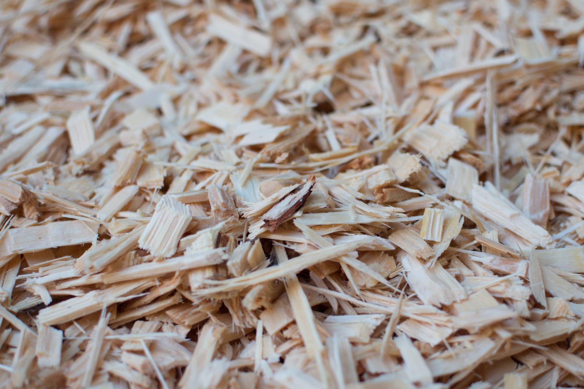 Polish producer of wood biomass – Envun